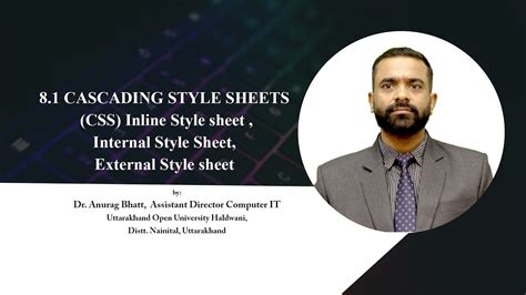 Cascading Style Sheets Css Inline Style Sheet Internal Style Sheet