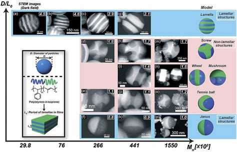 Microphase Separation Structures In Polystyrene B Isoprene Pstpi Download Scientific