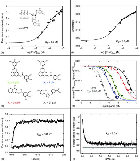 Fluorescence Methods To Characterise Binding Affinity And Kinetics A