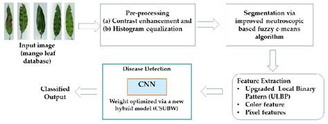 Figure 1 From Botanical Leaf Disease Detection And Classification Using Convolutional Neural