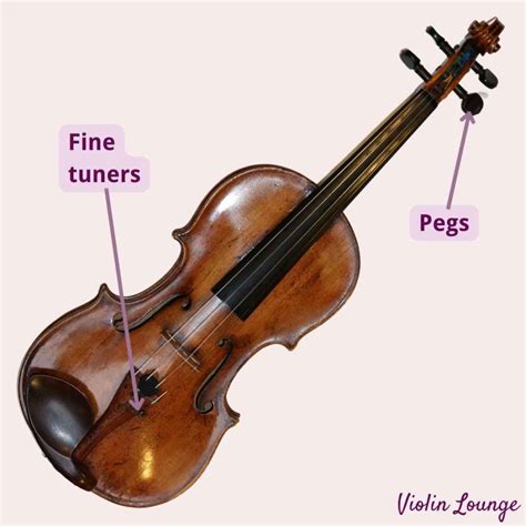 Strings On The Violin Explained Easy Guide For Newbies Violin Lounge