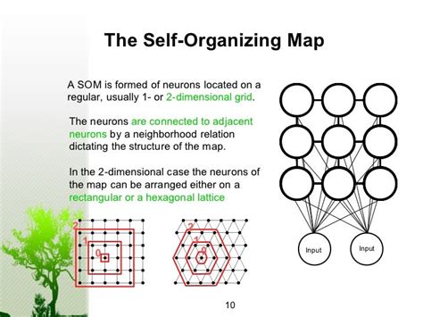 Self Organizing Maps Tutorial