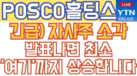 포스코홀딩스 Posco홀딩스 주가 전망 긴급 자사주 소각 발표나면 최소 여기까지 상승합니다 Youtube