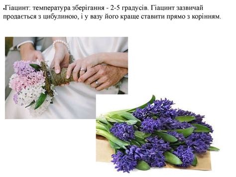 Технологія зберігання зрізаних квітів презентация онлайн