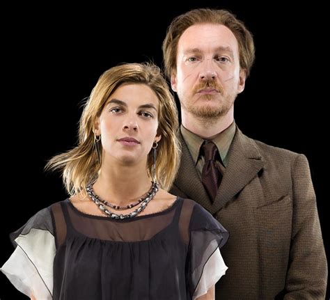 Il Professor Lupin E Tonks Harry Potters Tv Remake Can Rescue 1