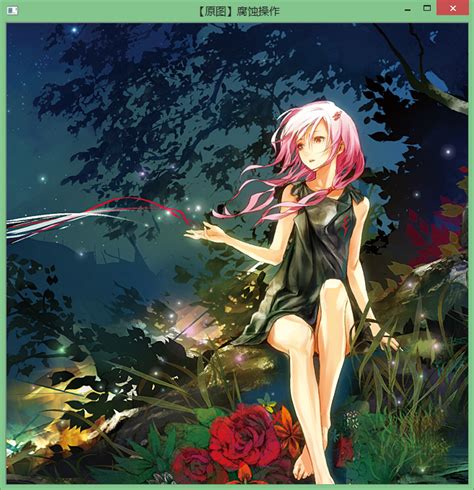 Opencv学习笔记（十） 图像腐蚀与腐蚀图像处理中的腐蚀和腐蚀区别souseiki的博客 Csdn博客