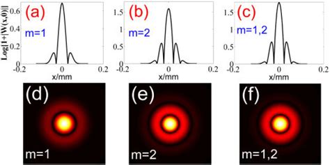 Numerical Simulations Of The Spatial Distribution Of The Csd At The