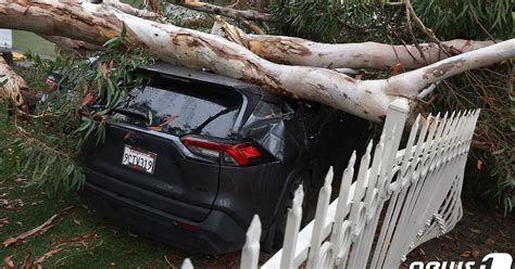 열대성 폭풍 상륙한 캘리포니아의 차량 덮친 나무