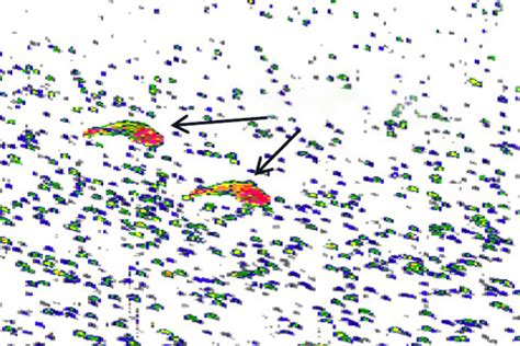 Acoustic Fingerprinting • Mbari