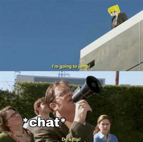 Every Stream Scrolller