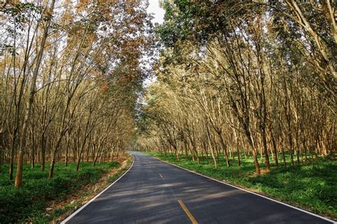 5 Cutting Through Clutter Royalty Free Photos And Stock Images