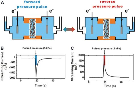 Schematic And Performance Diagrams Of Pressure Driven Electrochemical