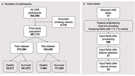 Flow Diagram Of Participants And Input Variables In The Study A Download Scientific Diagram