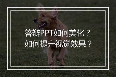 Ppt如何制作二维码？如何快速生成二维码添加到ppt？ 8104办公软件