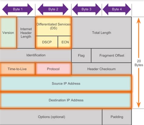 Network Chapter 6 Flashcards Quizlet