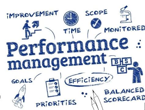 Performance Management Issues