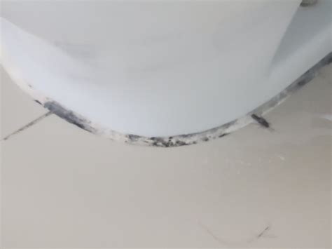 인천바퀴벌레퇴치 유충부터 알까지 완전 박멸하는 방법