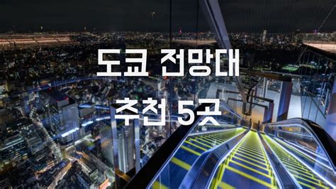 2024년 도쿄 전망대 추천 5곳 전망 사진 티켓 예약 위치 정보 우와니의 일본정보
