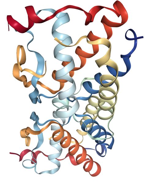 M CSF CSF Protein Overview Sino Biological