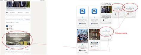 Linkedin Feed Image Display Issue General Questions Elfsight Community