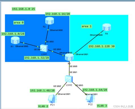 ospf与vlan实验 csdn博客