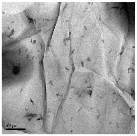 Solid Lubricant For Polymer Preparation Method And Application Thereof Eureka Patsnap