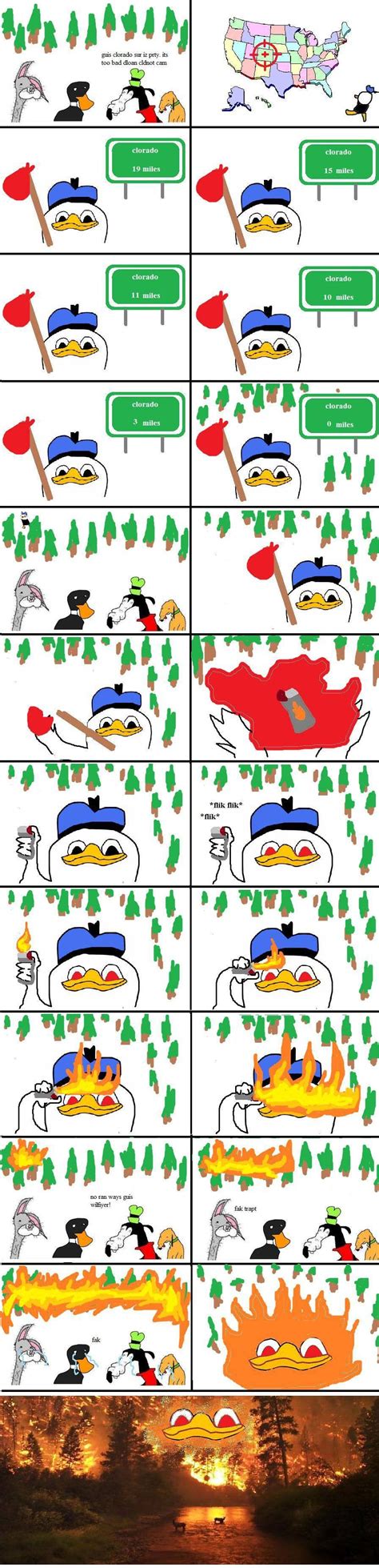 Actually Was Dolan Fak You From The State Of Colorado R