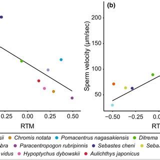 Relationship Between Relative Testes Mass RTM And Sperm Components Download Scientific