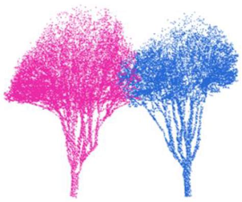 Remote Sensing Free Full Text Trunk Constrained And Tree Structure Analysis Method For