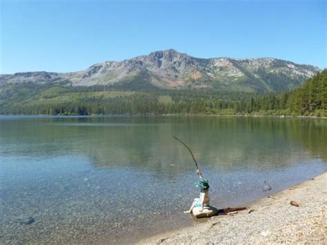 Fallen Leaf Campground Ca Latest Reviews Photos And Campground Map