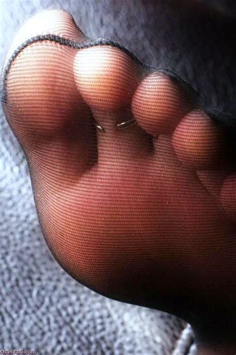 جمعی از فعالان عرصه جوراب