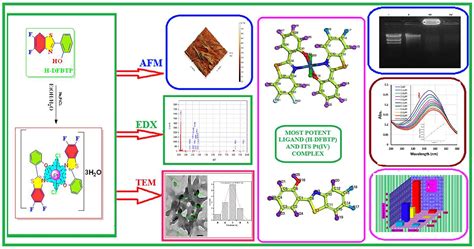 Synthesis Spectral Characterization Dft Calculations Cell Cycle