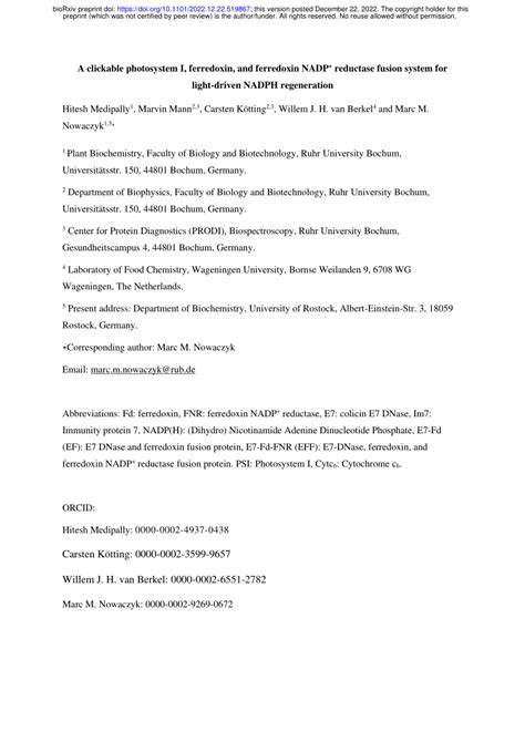 Pdf A Clickable Photosystem I Ferredoxin And Ferredoxin Nadp Reductase Fusion System For