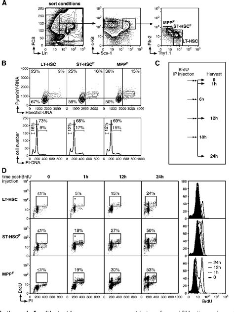 Leukemic Infiltration Semantic Scholar