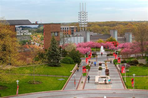 Nsdc Chapter Stony Brook University Northeast Big Data Innovation Hub
