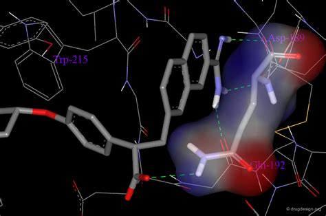 Case Studies In Structure Based Designs Drug Design Org