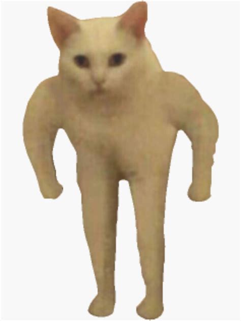 Funny Standing Cat Meme Tiktok Sticker For Sale By Uchihaindustry