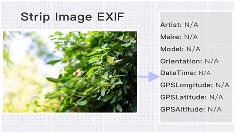 Remove Exif Data From Your Photos Free Exif Removal Tool Online
