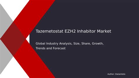 Tazemetostat Ezh2 Inhabitor Market Report Global Forecast From 2025 To 2033
