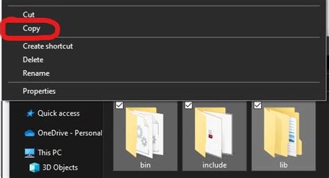 How To Easily Install Or Update CUDA And CuDNN TERRA X