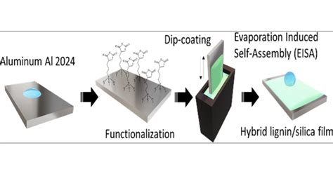 Design Of Solgel Hybrid Bio Sourced Ligninsilica Hydrophobic Nanocomposites Through A Dip