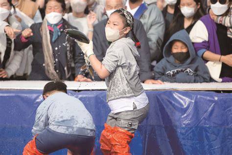 겨울철 최고의 맛 방어가 돌아왔다 3년 만의 ‘최남단 방어축제