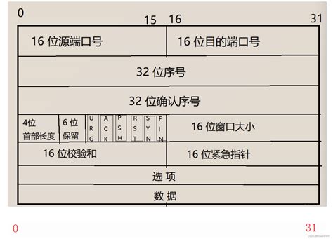 ensp的使用 网络通讯模型 ensp tcp模型实验 csdn博客