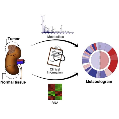 An Integrated Metabolic Atlas Of Clear Cell Renal Cell Carcinoma