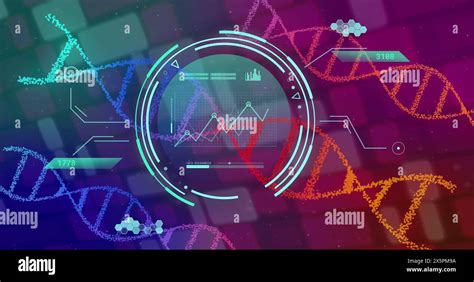 Image Of Dna Strands Spinning And Scientific Data Processing Stock Photo Alamy