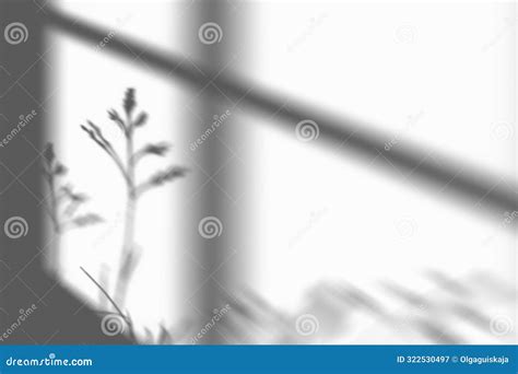 Shadow From Window And Plants Overlay Effect Realistic Gray Shadow On