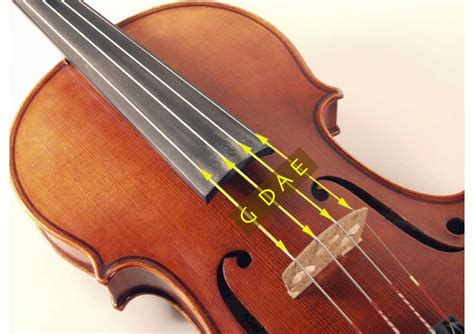 violin structures