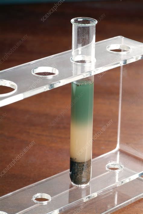 Soil Sample Being Tested For PH Stock Image A500 0819 Science Photo Library