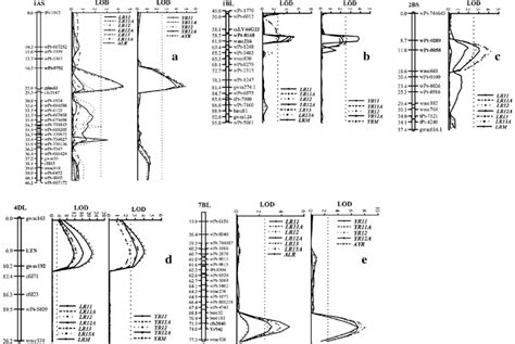 Likelihood Plots Of Quantitative Trait Loci Qtl For Adult Plant