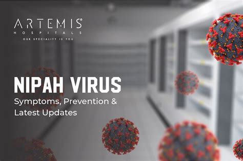 Nipah Virus Symptoms Prevention And Treatment Options Artemis Hospitals
